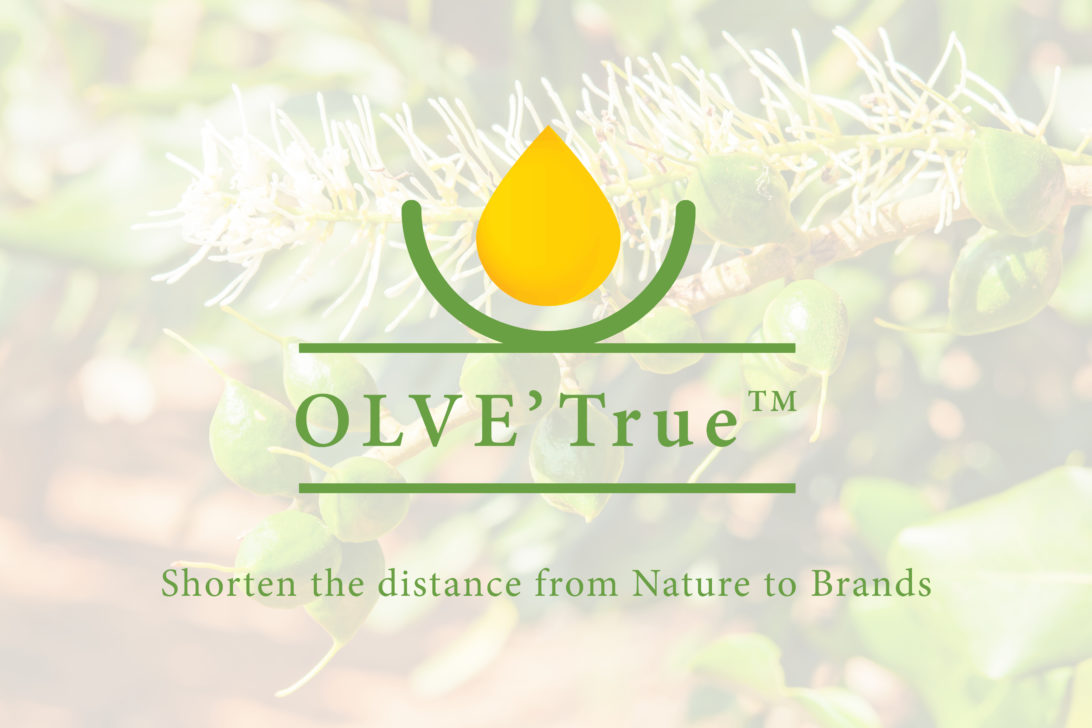 OLVEA Vegetable Oils - From sources you can trust